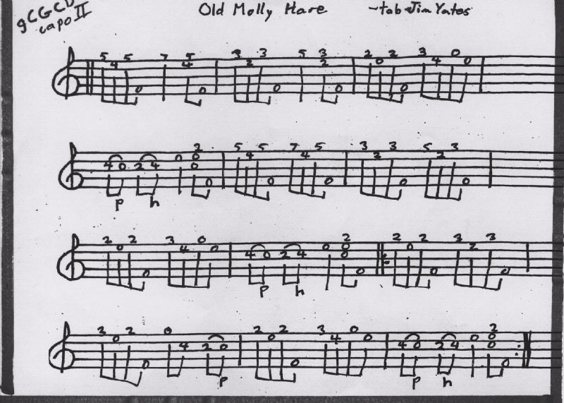 Playing Notes VS. Playing Chords - Discussion Forums - Banjo Hangout