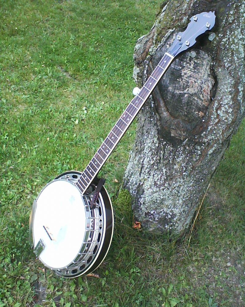 Banjo Bird - made by Vladislav Ptacek, Czech Republic - Discussion ...
