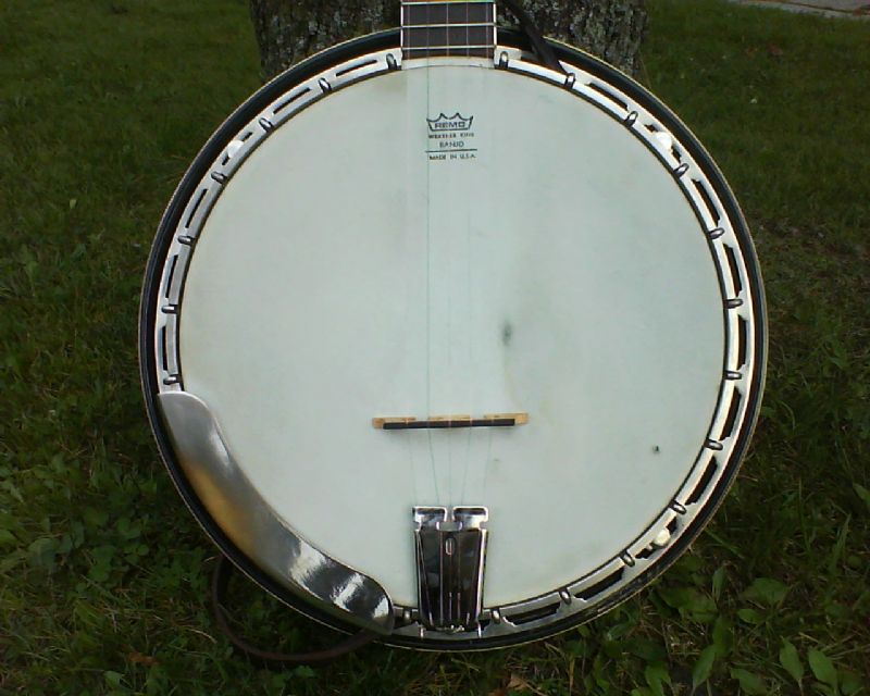 Banjo Bird - made by Vladislav Ptacek, Czech Republic - Discussion ...