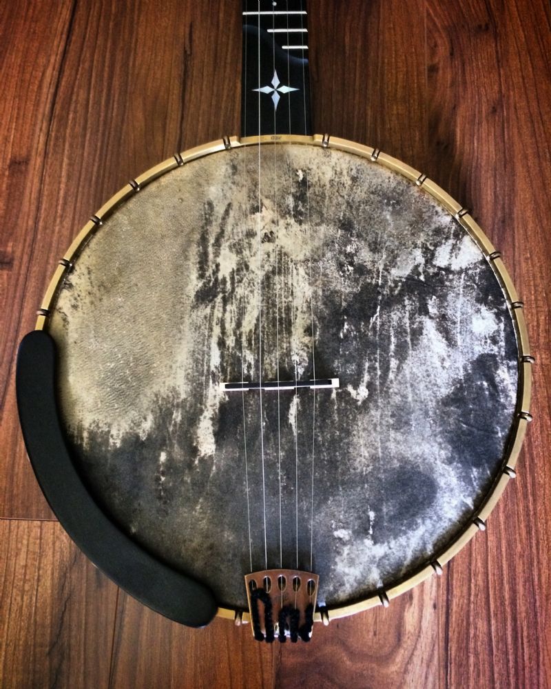 Wood Stain on a Goat Skin head - Discussion Forums - Banjo Hangout