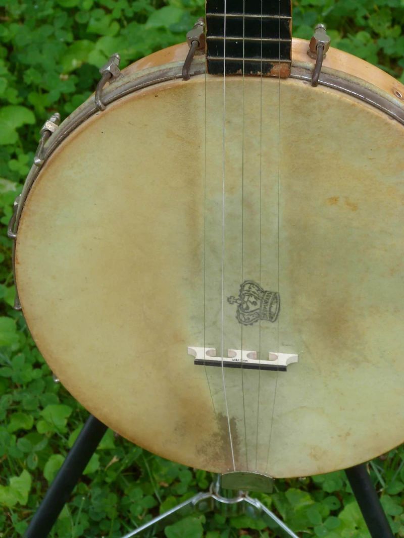 Old banjo head identification - Discussion Forums - Banjo Hangout