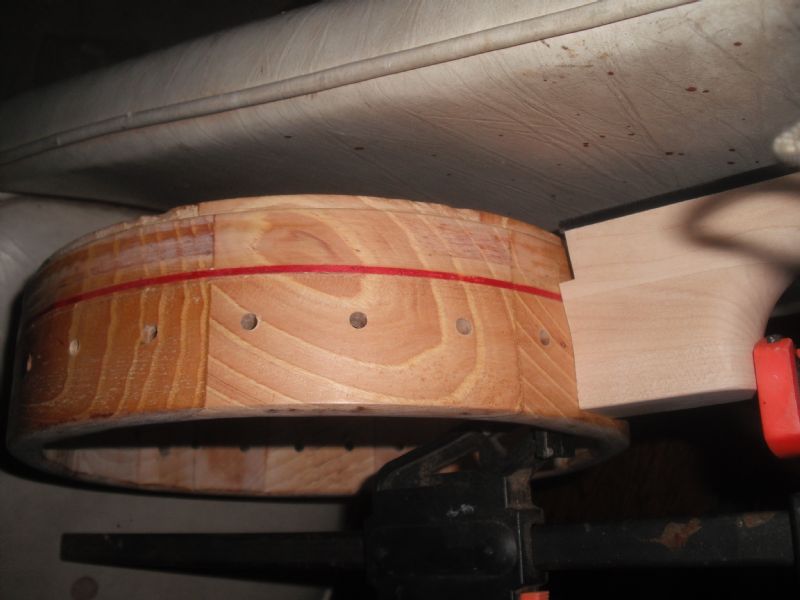 Hickory Neck ? - Discussion Forums - Banjo Hangout