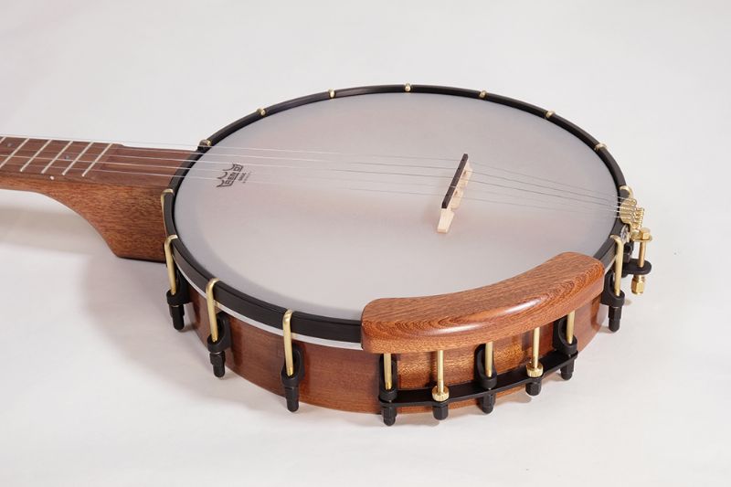 My Banjo Build - Discussion Forums - Banjo Hangout