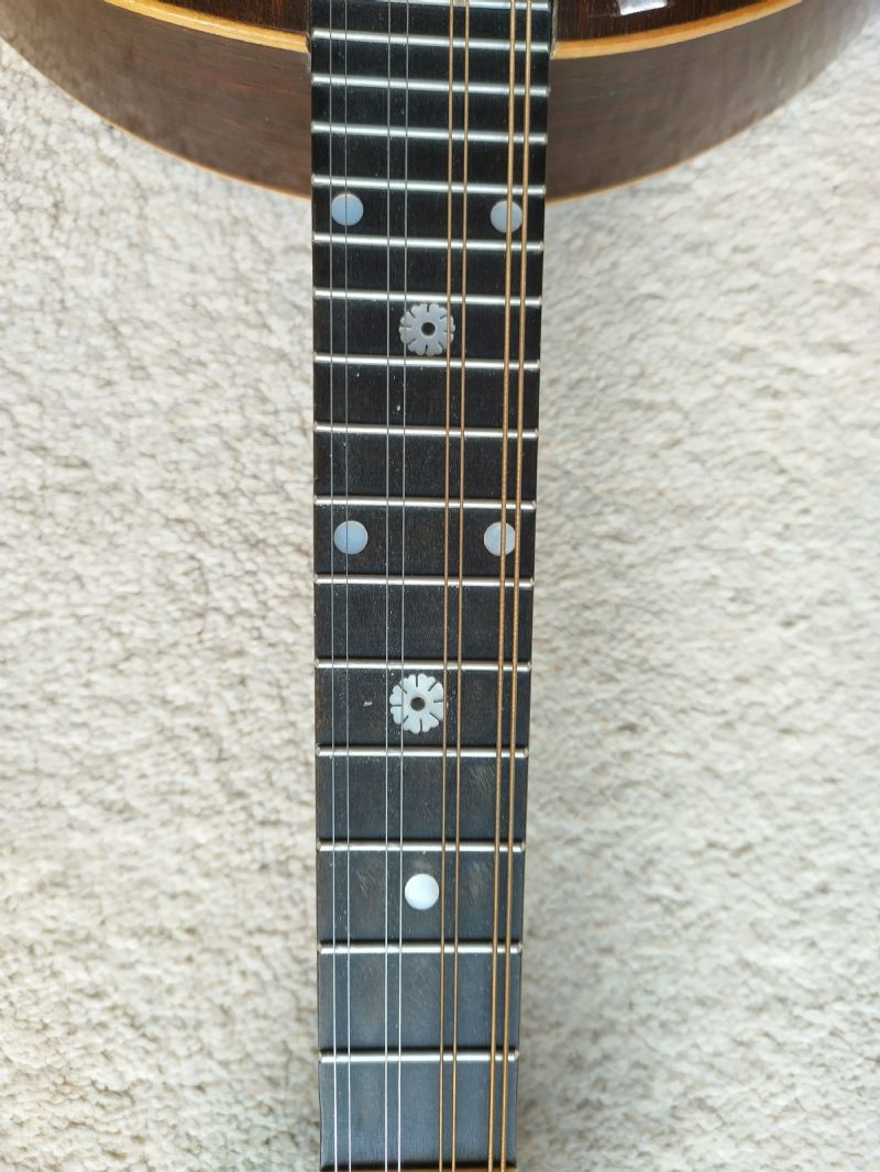 Identification Banjolin - Discussion Forums - Banjo Hangout