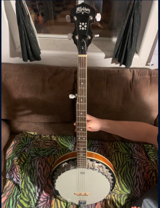 Washburn banjo - Discussion Forums - Banjo Hangout