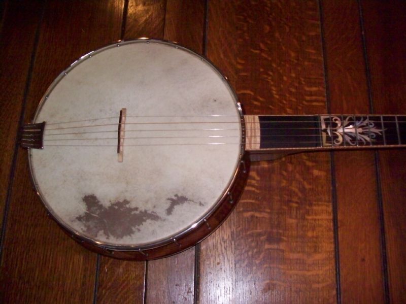 Skin or Remo? - Discussion Forums - Banjo Hangout