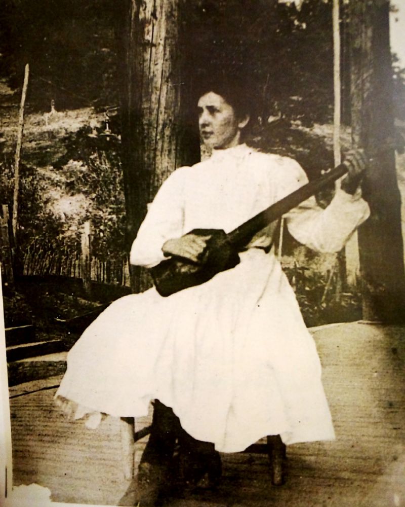 Build a Hexagonal (or Octagonal) Kentucky Mountain Banjo - Discussion ...