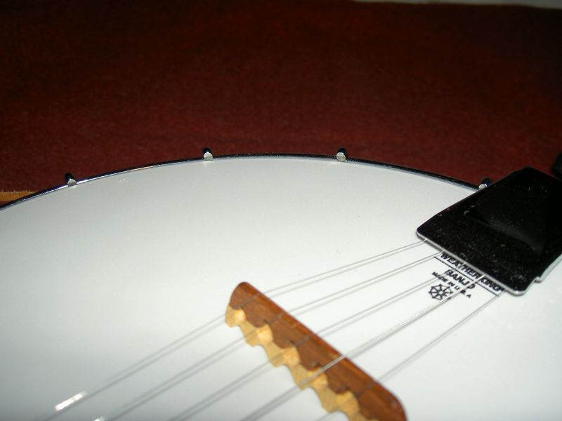 Scale/Neck Length/Head Size Variations In Bottle Cap Banjos ...