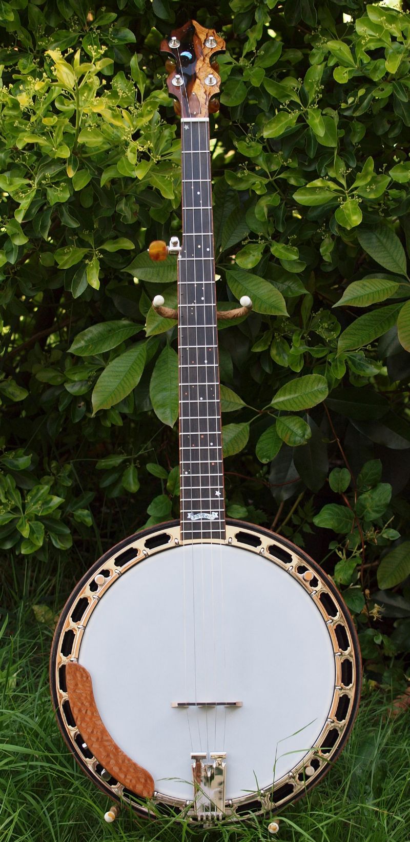Bishline Midnight Moon - Discussion Forums - Banjo Hangout