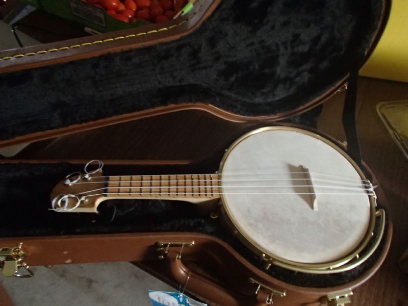 My new baby banjo - Discussion Forums - Banjo Hangout