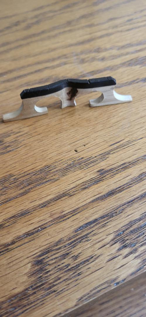 Compensated bridge - Discussion Forums - Banjo Hangout