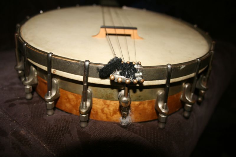 Banjorine Mandolin - I think I got one on ebay! - Discussion Forums ...