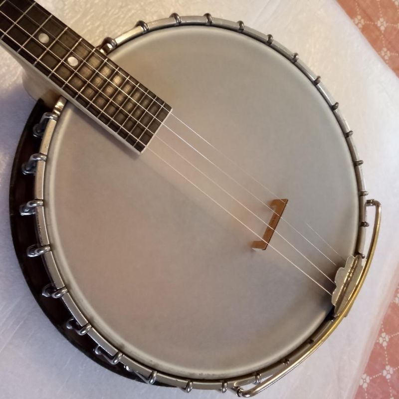 Vega Style S 4-string Mandolin Banjo - Discussion Forums - Banjo Hangout