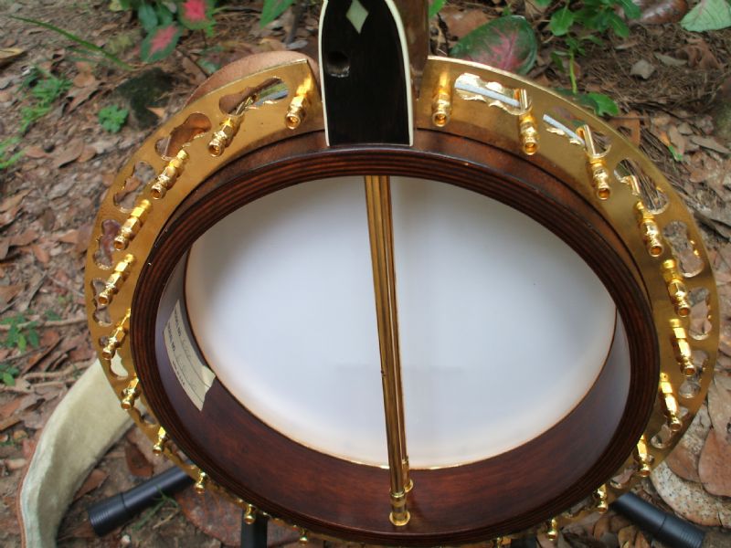Ode Style D have normal size rim? - Discussion Forums - Banjo Hangout