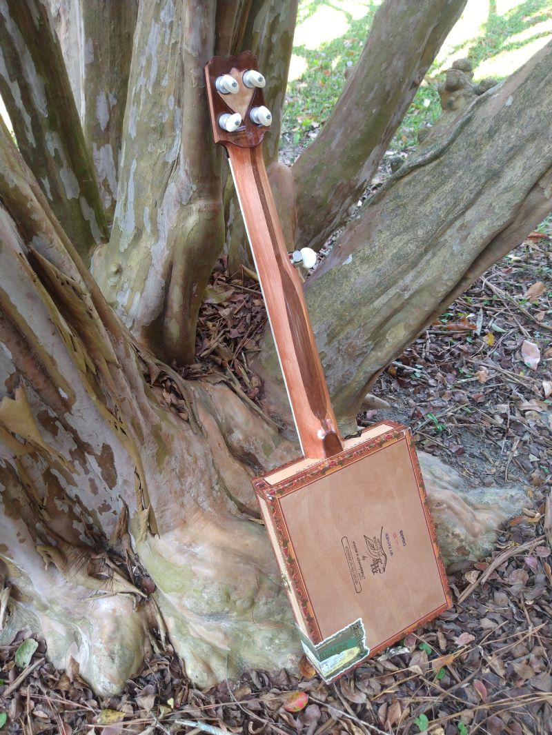 Cigar Box Banjo Build #017 is Completed - Discussion Forums - Banjo Hangout