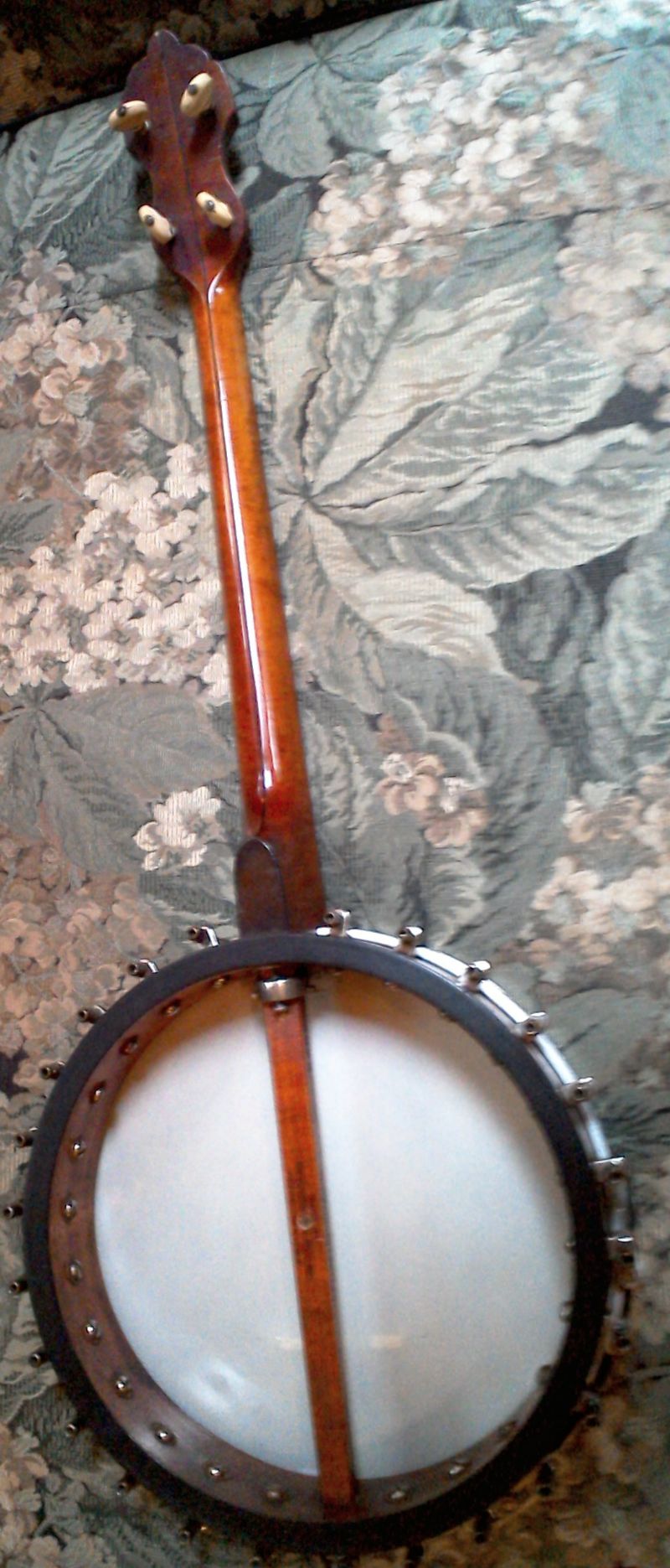 Bacon Peerless #19572 appears - Discussion Forums - Banjo Hangout