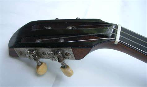 Peghead or headstock??? - Discussion Forums - Banjo Hangout