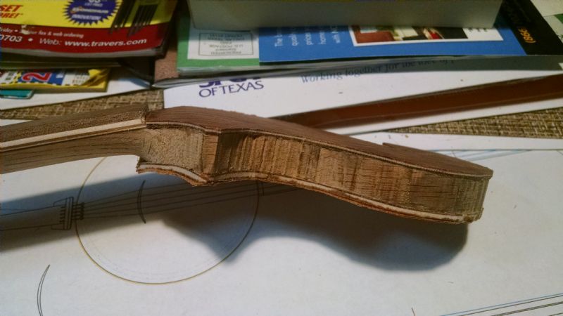 Are Frailing Scoops Really Necessary? - Discussion Forums - Banjo Hangout