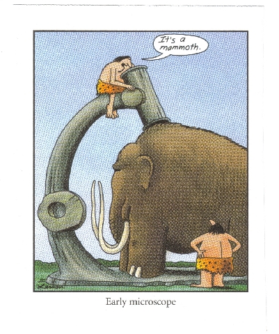 Your Favorite 'Far Side' Cartoon? - Discussion Forums - Banjo Hangout