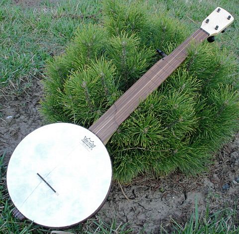 Banjo Building 101, A Recipe For First Time Success - Discussion Forums ...