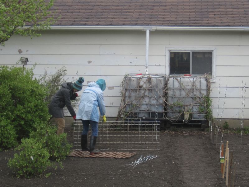 Spring Garden Planting Time - Discussion Forums - Banjo Hangout