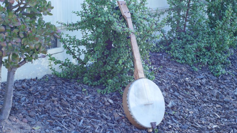 New Prust Tackhead A scale has arrived - Discussion Forums - Banjo Hangout