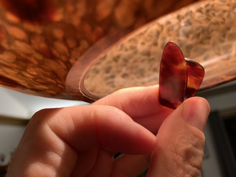 Real Tortoise Thumb Pick - Discussion Forums - Banjo Hangout