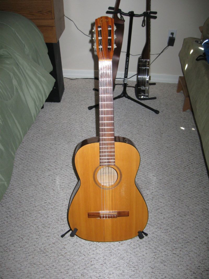 Goya GB35 5-string Banjo ... how to determine worth $ ... - Discussion ...