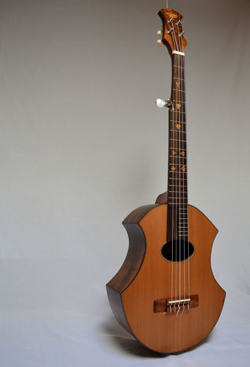 Banjola! - Discussion Forums - Banjo Hangout