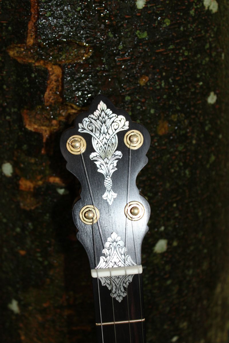 Coolest Headstock You've ever seen? - Discussion Forums - Banjo Hangout