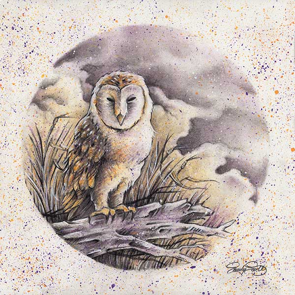 Custom Banjo Head Art - Discussion Forums - Banjo Hangout