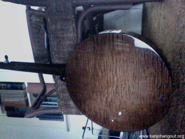 Nechville Zeus for sale or trade - Used Banjo For Sale at BanjoBuyer.com