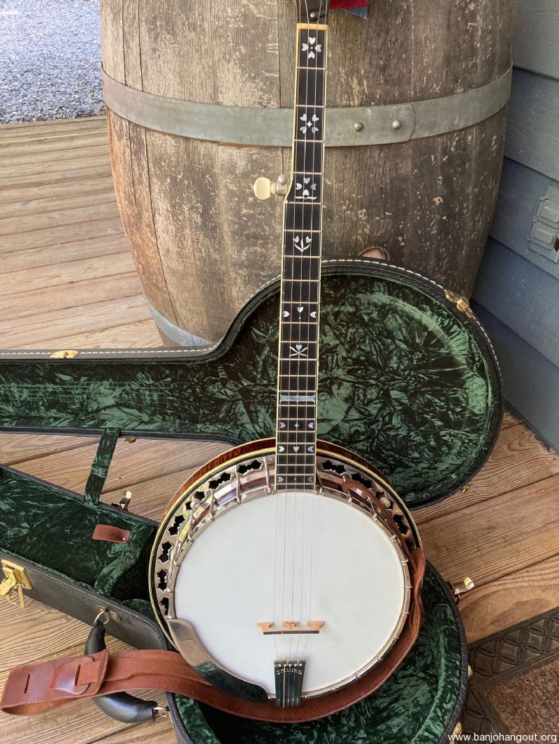 STELLING SUNFLOWER 2010 Pending - Used Banjo For Sale at BanjoBuyer.com