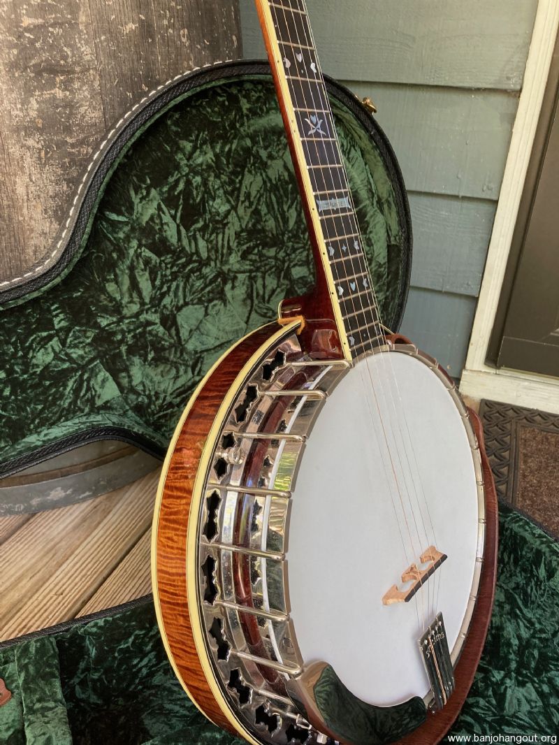 STELLING SUNFLOWER 2010 Pending - Used Banjo For Sale at BanjoBuyer.com