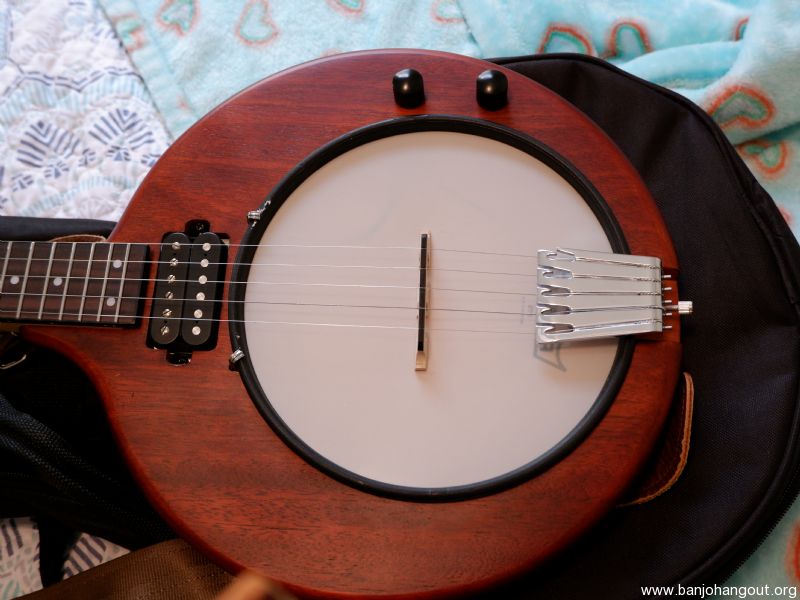 Gold Tone EB-5 - Used Banjo For Sale at BanjoBuyer.com