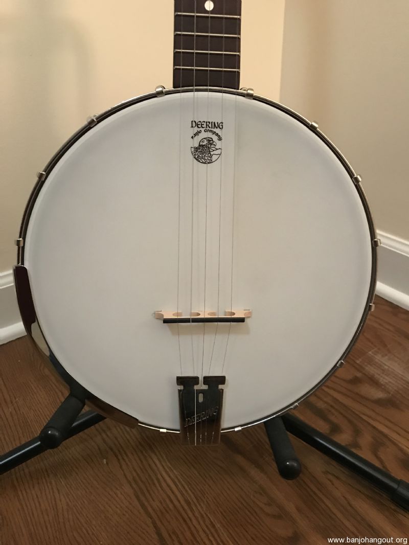 Deering Goodtime Classic Special Openback Banjo - Used Banjo For Sale ...