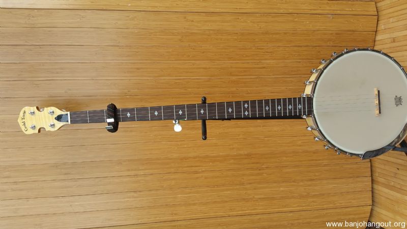 GOLD TONE LONG NECK W/ 5TH STRING SPIKE, PLAY E OR OPEN G - Used Banjo ...