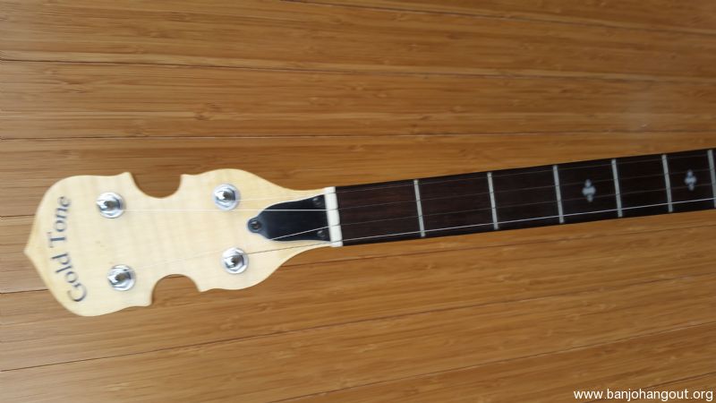 GOLD TONE LONG NECK W/ 5TH STRING SPIKE, PLAY E OR OPEN G - Used Banjo ...
