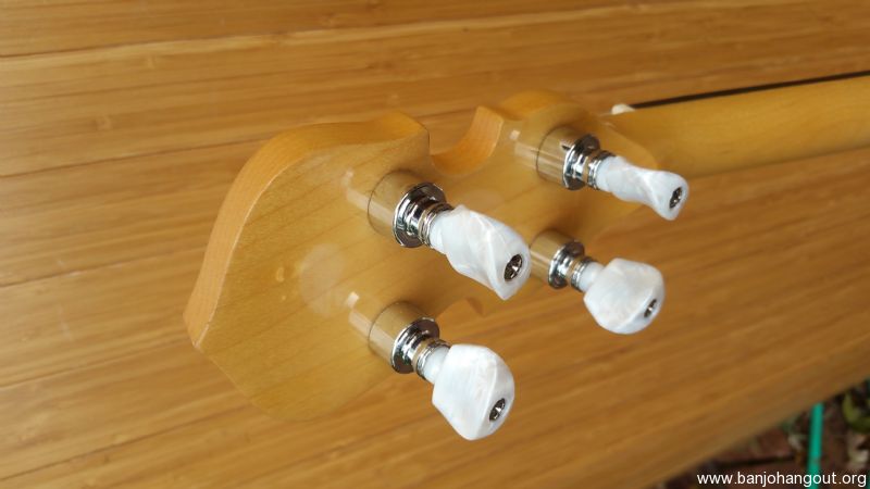 GOLD TONE LONG NECK W/ 5TH STRING SPIKE, PLAY E OR OPEN G - Used Banjo ...