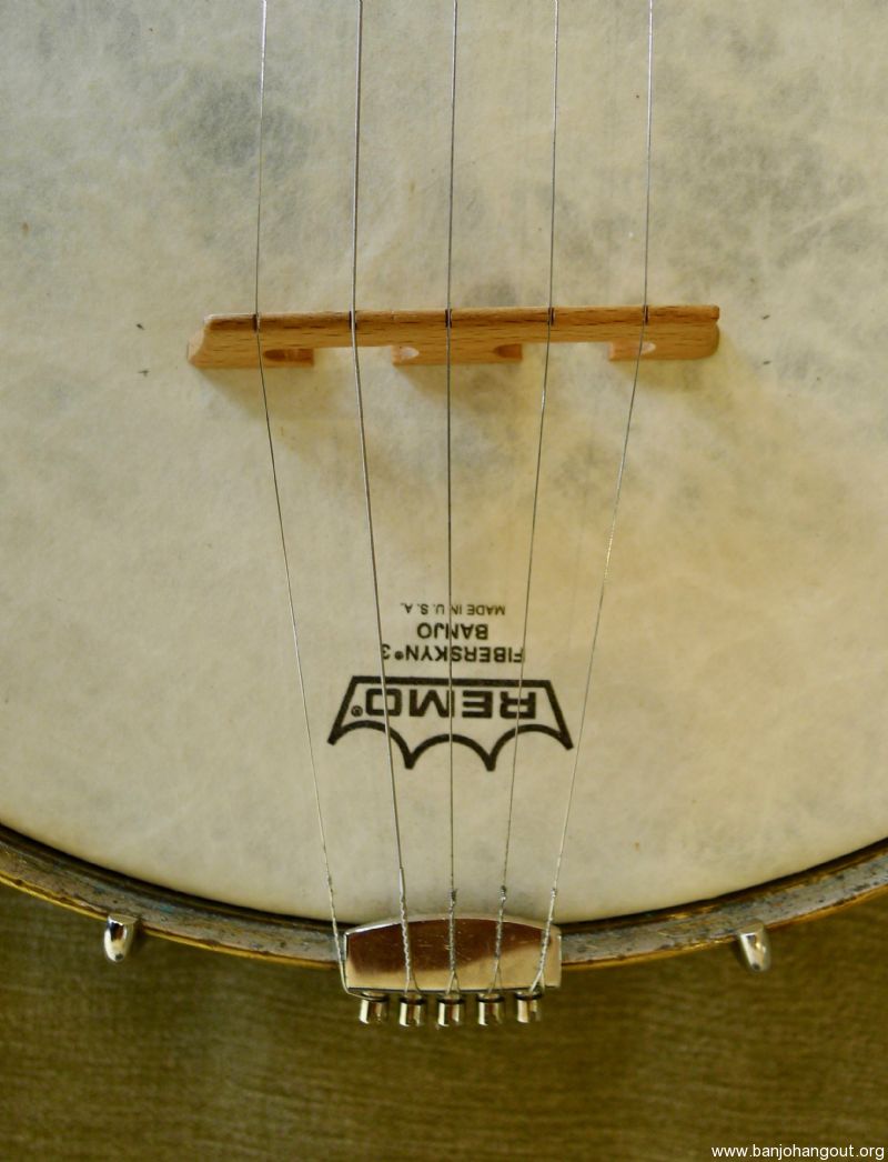 Early 1900's Medium Fancy Lyon and Healy Openback 5-String Banjo - Used ...