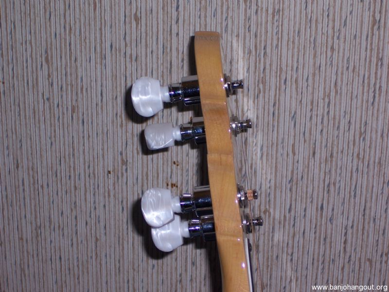 Mastercraft Bluegrass Series All Maple 5-string resonator banjo - Used ...