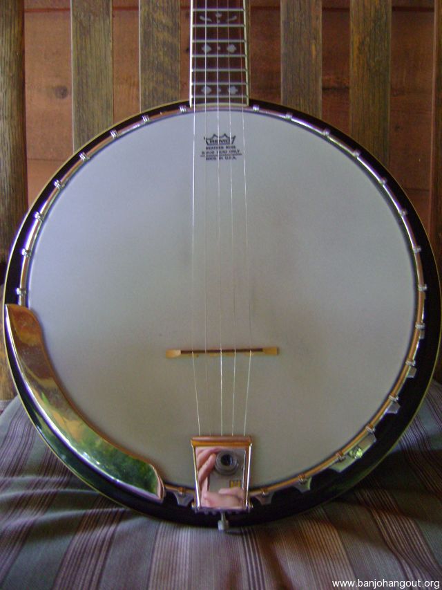 Fender 5 String - Used Banjo For Sale at BanjoBuyer.com