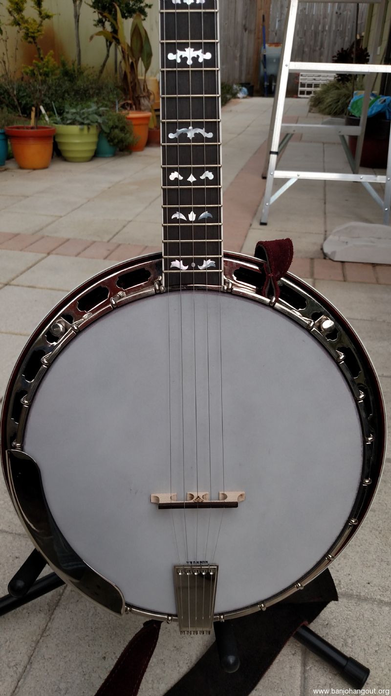 Turtle Hill - Used Banjo For Sale at BanjoBuyer.com