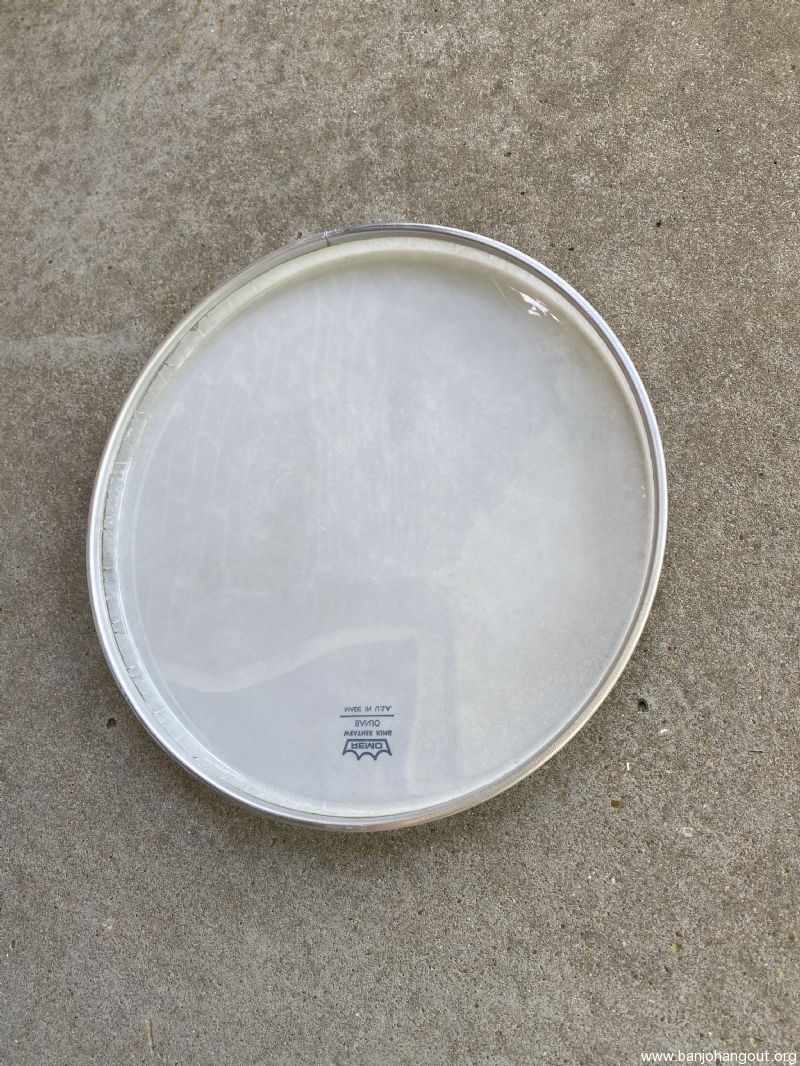 Remo Banjo Head: “Pre EPA” 11” High Crown Frosted Plastic - Banjo Hangout