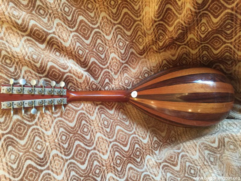 12 String Bowl Mandolin (79) - Banjo Hangout