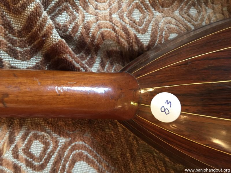 George Washburn 8 String Bowl Mandolin(83) - Banjo Hangout