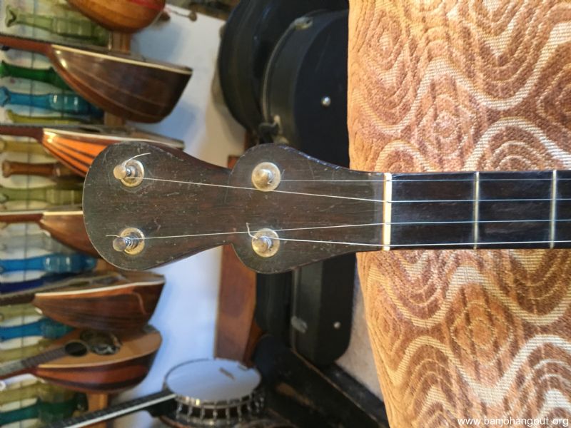 No Name 5 String Banjo (83A) price reduced - Used Banjo For Sale at ...