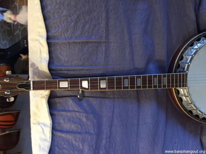No Name 5 String Student Banjo (106) - Used Banjo For Sale at ...