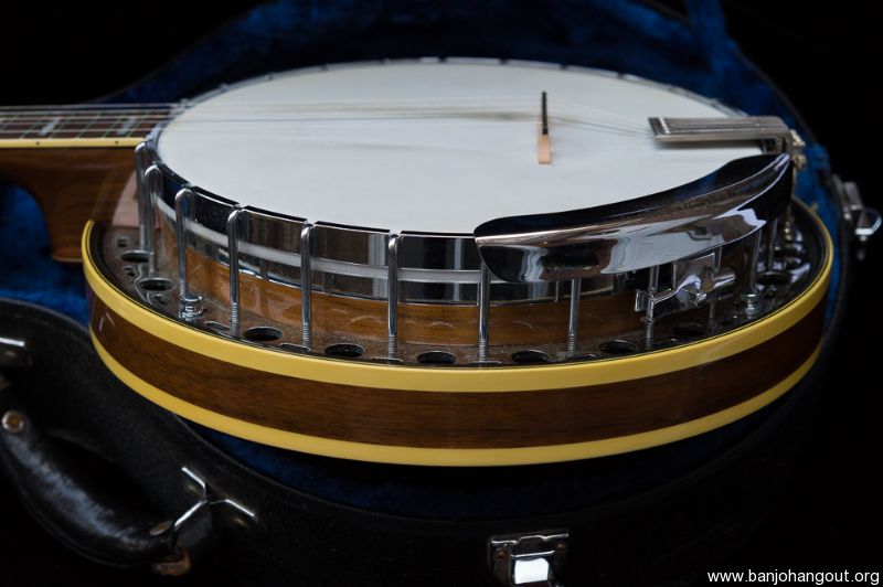 Fender Artist 5 String - Used Banjo For Sale at BanjoBuyer.com