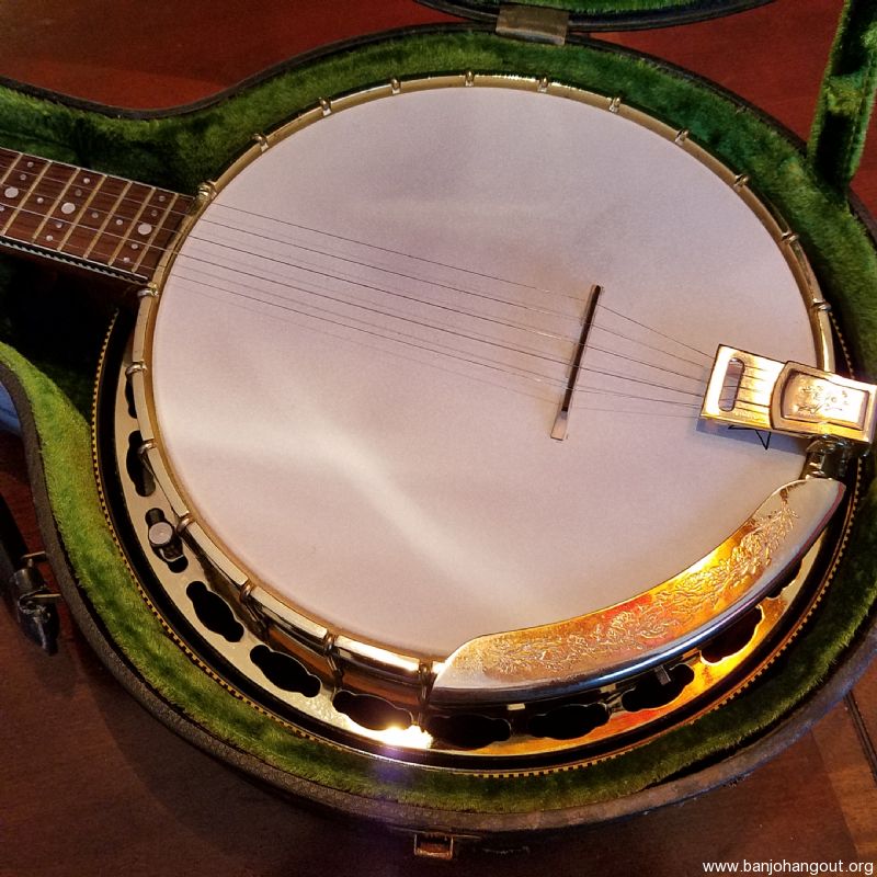 Alvarez Montana 5 Star - Used Banjo For Sale at BanjoBuyer.com